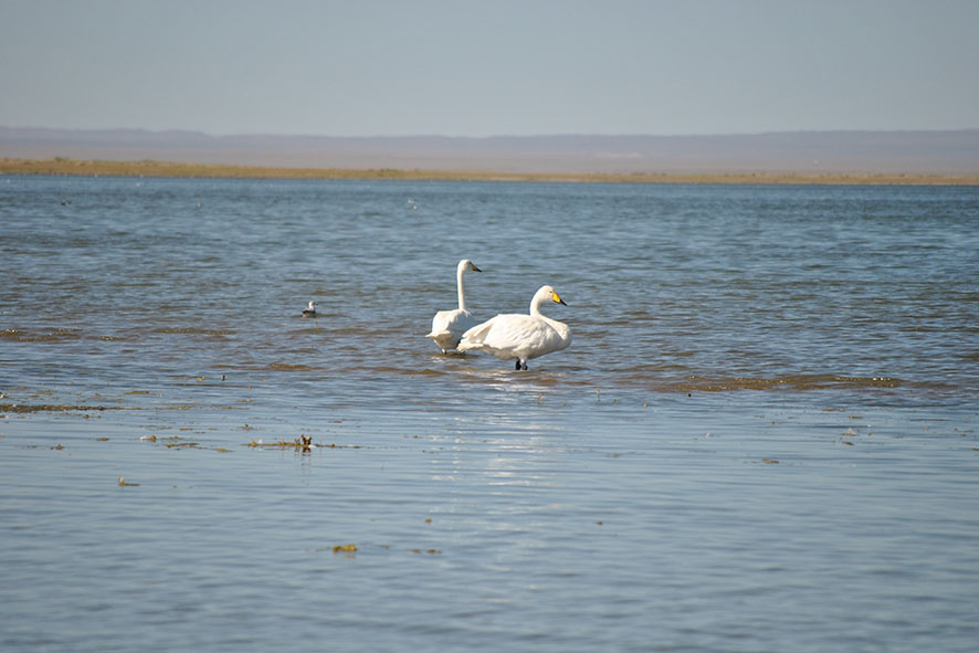 Buun Tsagaan Lake Bayankhongor - Escape To Mongolia