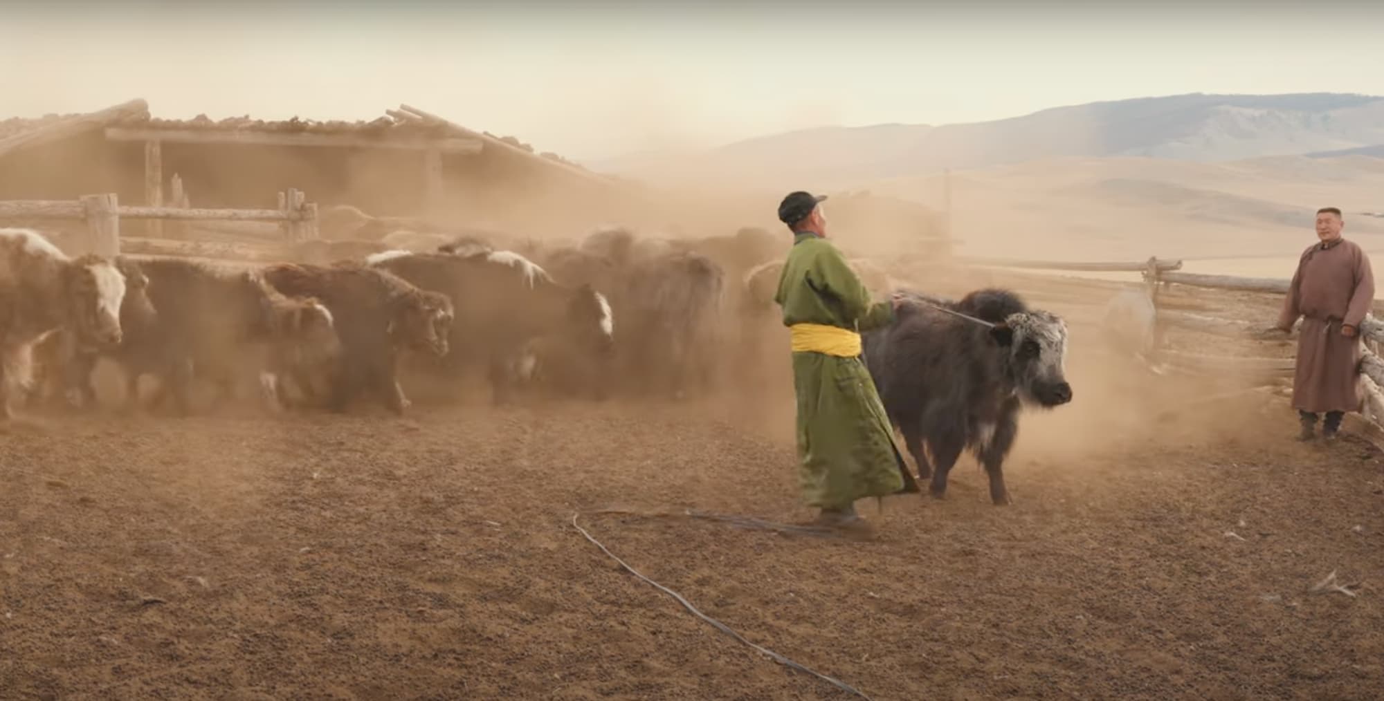 Yak Wool - Escape To Mongolia